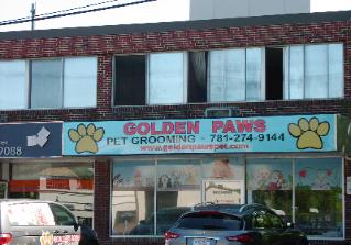 goldenPaws - Tamie Taniguchi Bilazzo, Lic. Ac., M.A.O.M., Dipl.C.H., A-CFMP